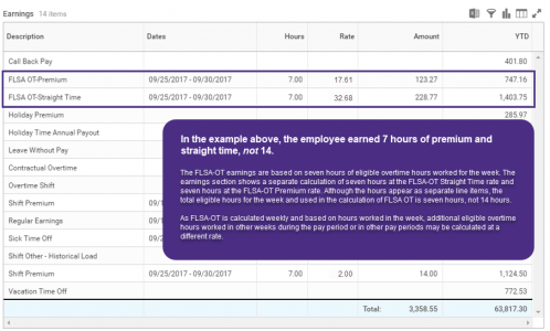 How to Read Your Payslip | Employee Workday Help